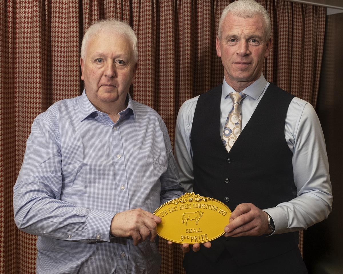 2023 South East club herd competition - Irish Limousin