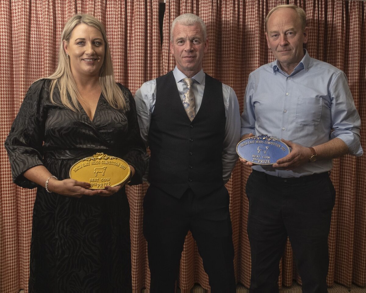 2023 South East club herd competition - Irish Limousin