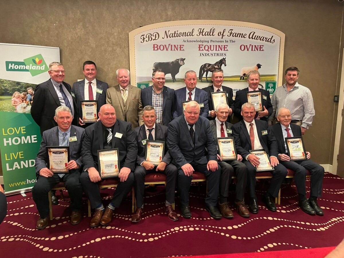Kevin Bohan Hall of Fame Award recipient 2024 - Irish Limousin