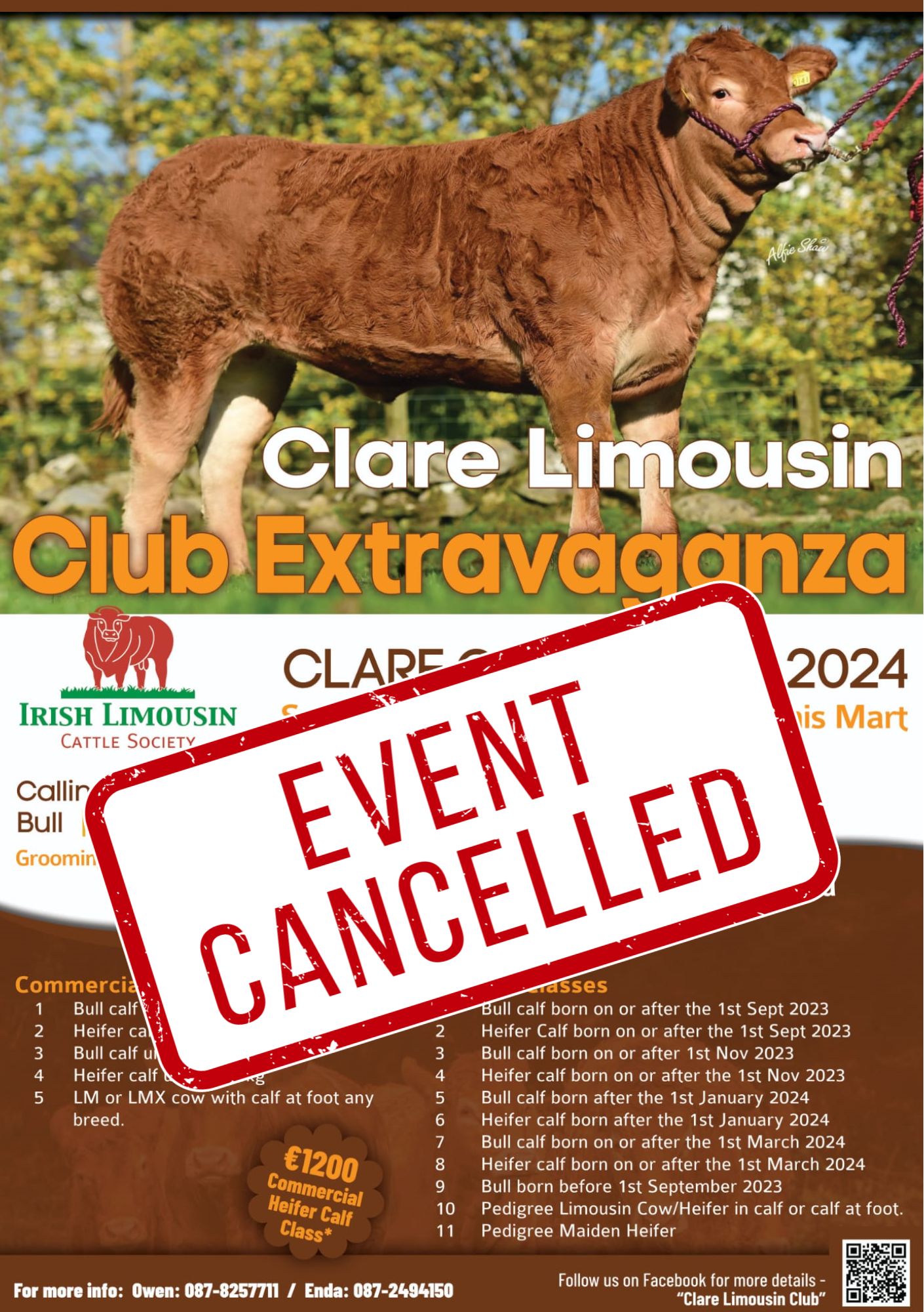 Event Cancelled - Limousin extravaganza hosted by the Clare Club ...